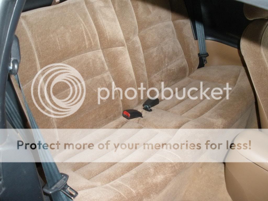 Like new MINT black/tan SN95 interior, Black Cobra drivers airbag ...