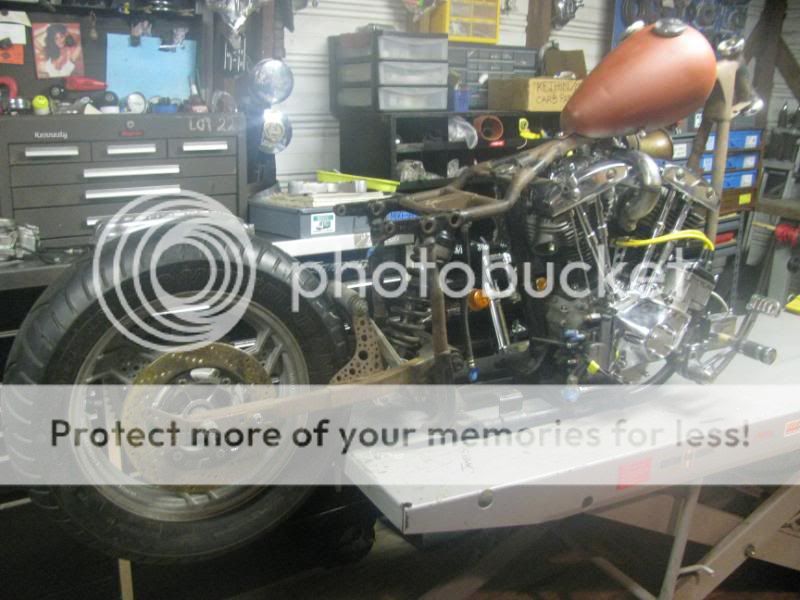 Alien Tank help... | Jockey Journal Forum