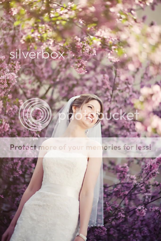 annika miller :: now a SilverBox photographer! — SilverBox Photographers
